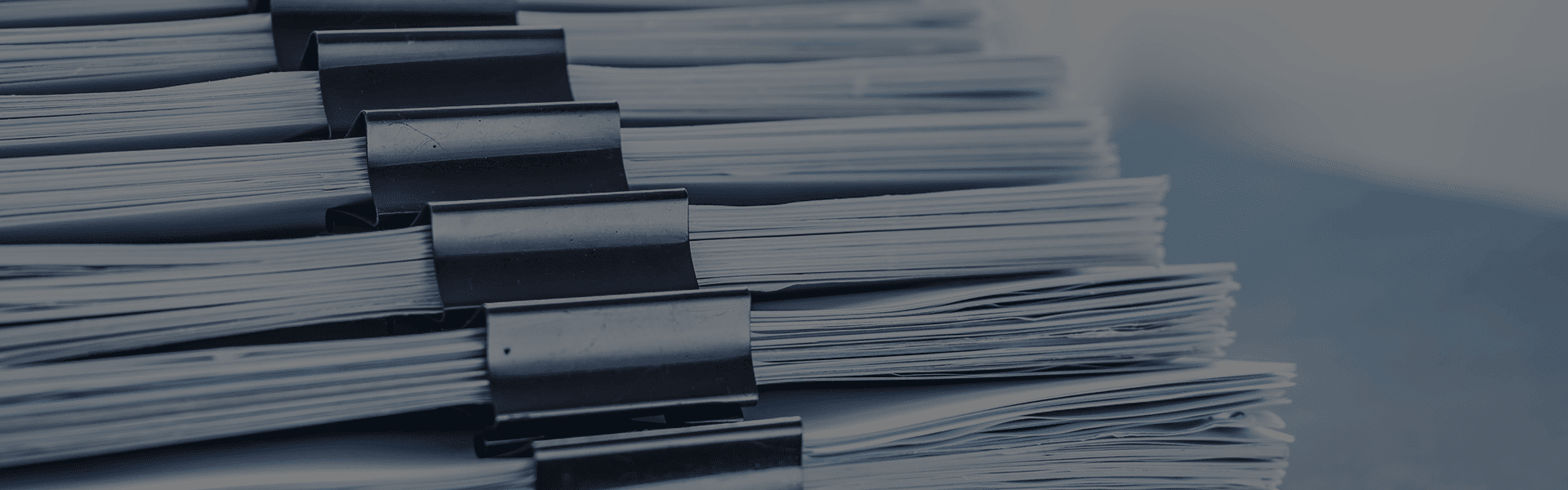 E-Ledger | Electornic Accounting Ledger System | NetBT Consulting